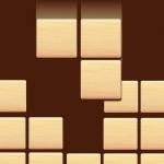 Wood Block Puzzle - Arrange to blast the woodblock!